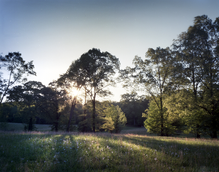 Fraley Field, 4/6/12 Shiloh | Civil War 150 Pinhole Project